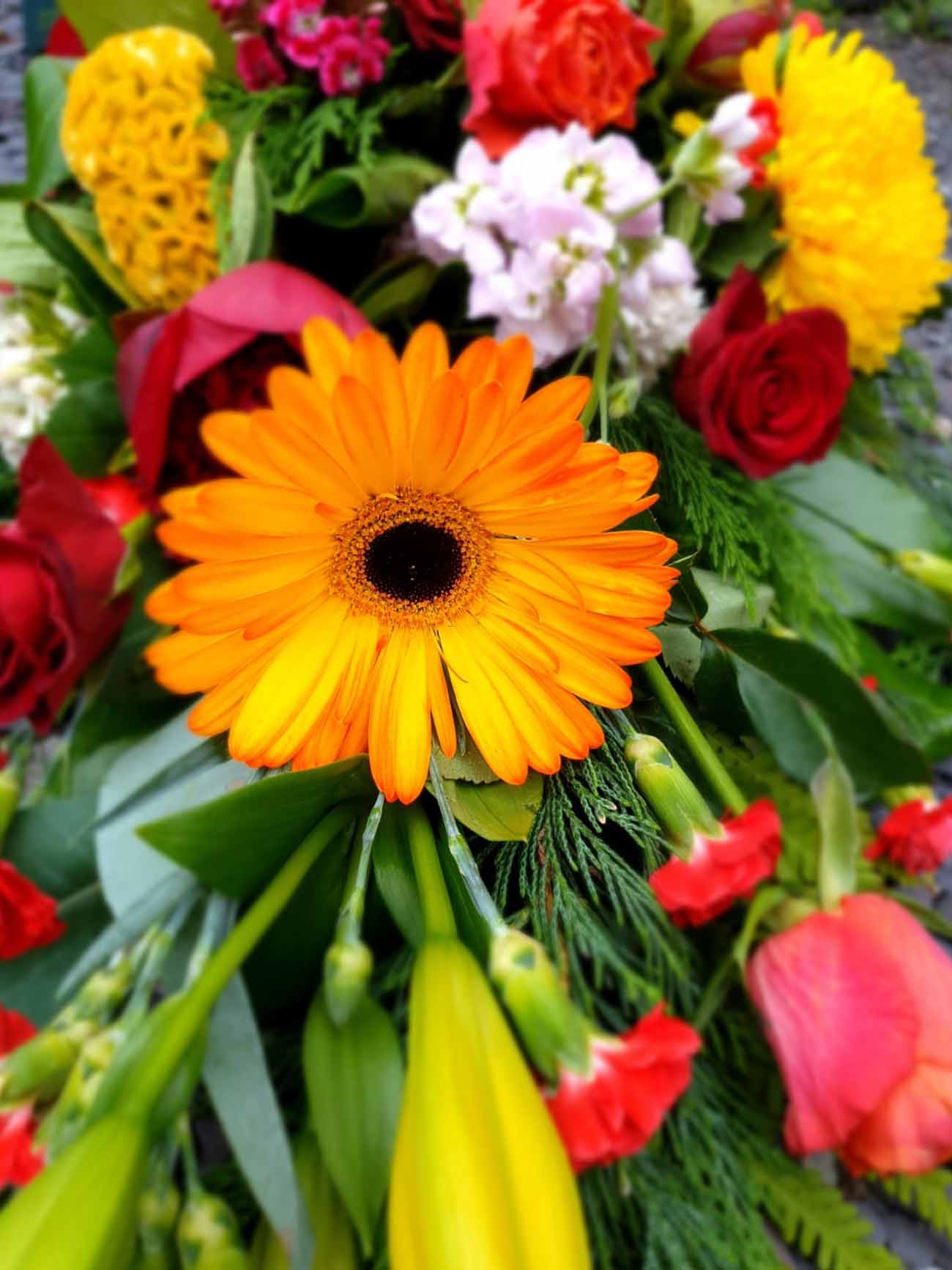 Nottingham Flowers by Bouquets & Buttonholes